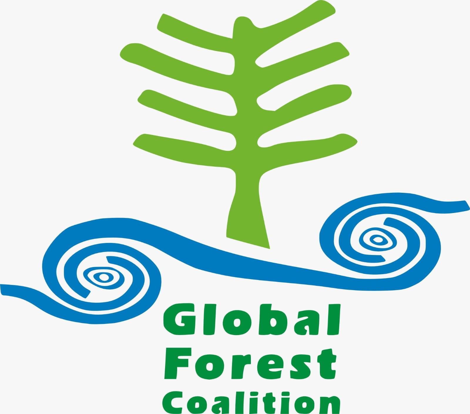 third world network logo