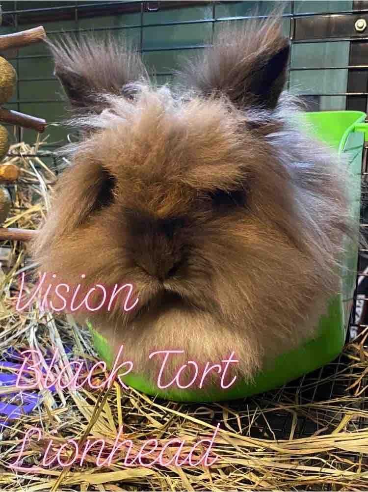 Double A Bunnies Rabbitry