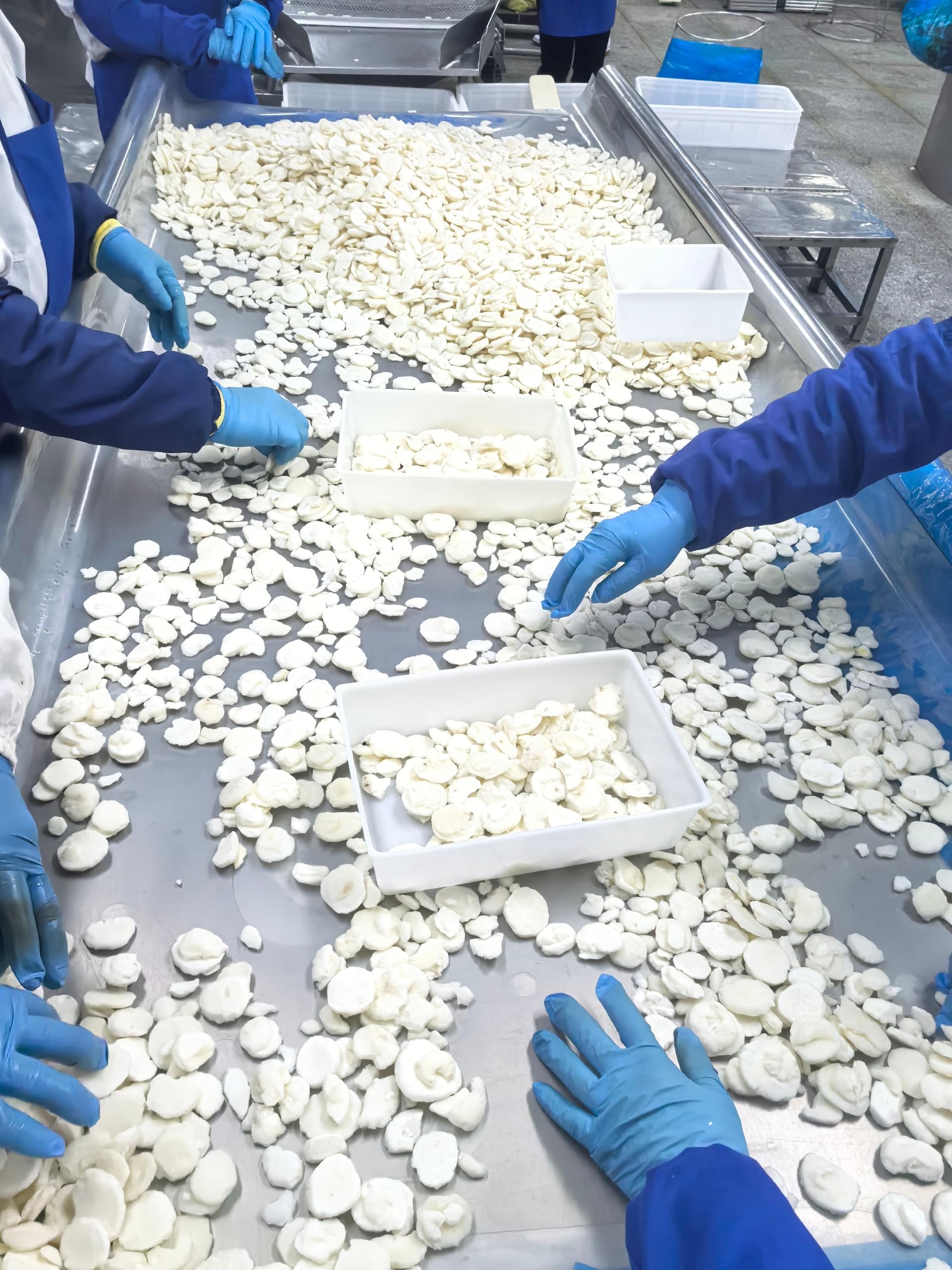 IQF Frozen Water Chestnuts Bulk Supplier China | Private Label & OEM