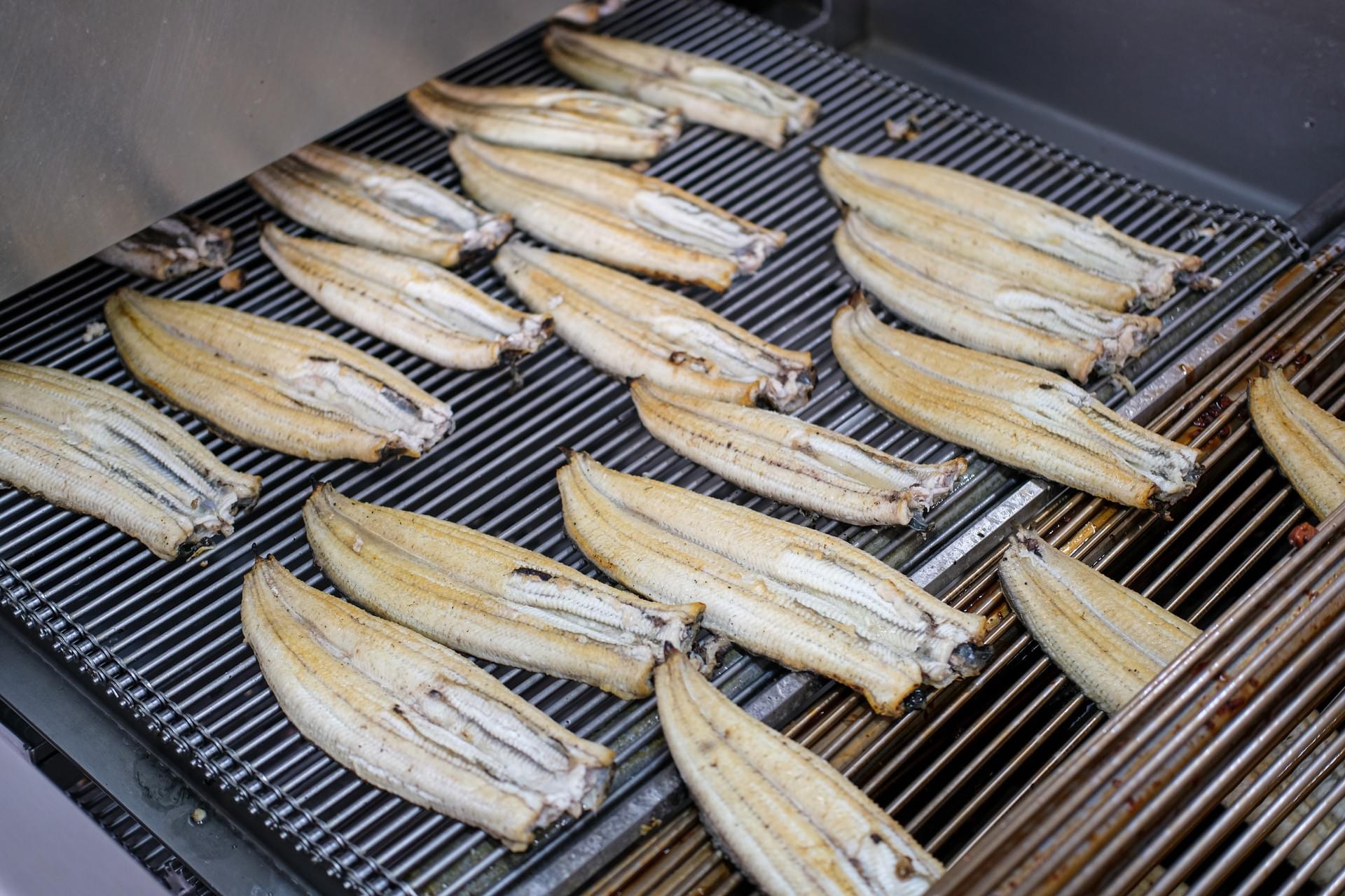 Halal Frozen Roasted Eel Unagi Kabayaki Supplier China