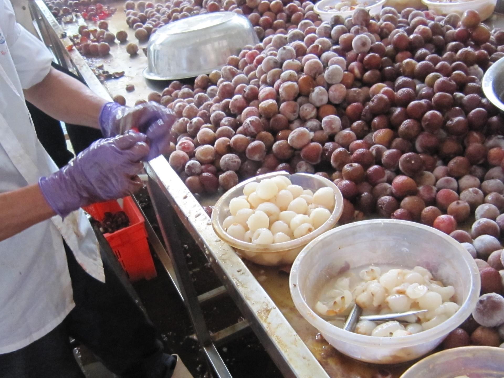 IQF Frozen Lychee Litchi Bulk Supplier Exporter China