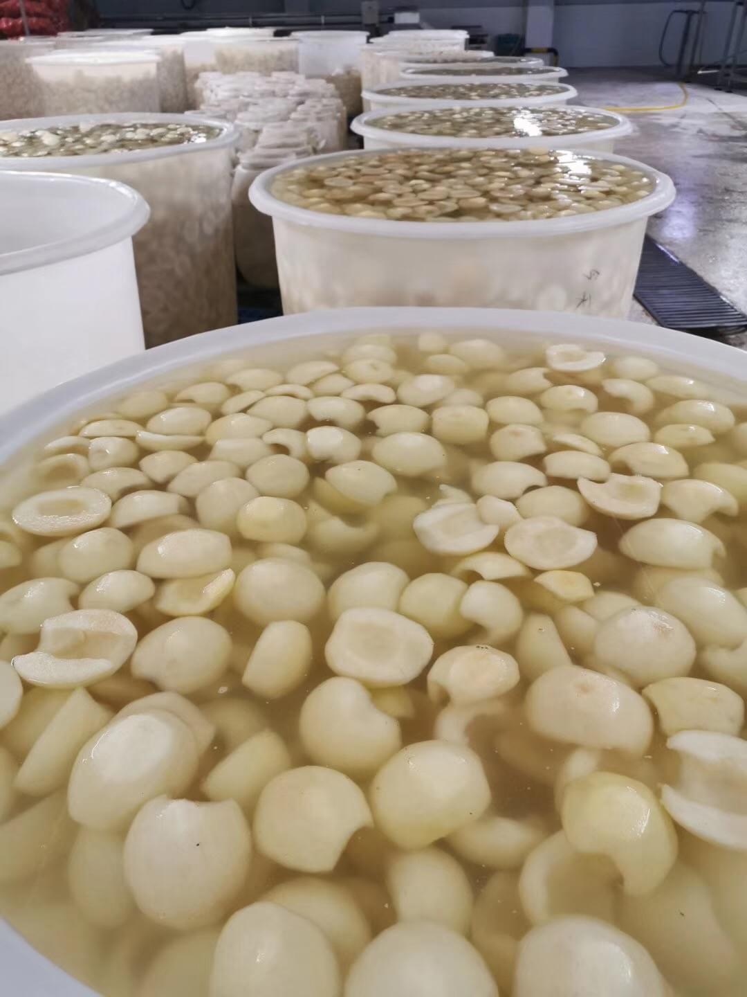 Wholesale IQF Frozen Snow Pear Supplier Exporter China