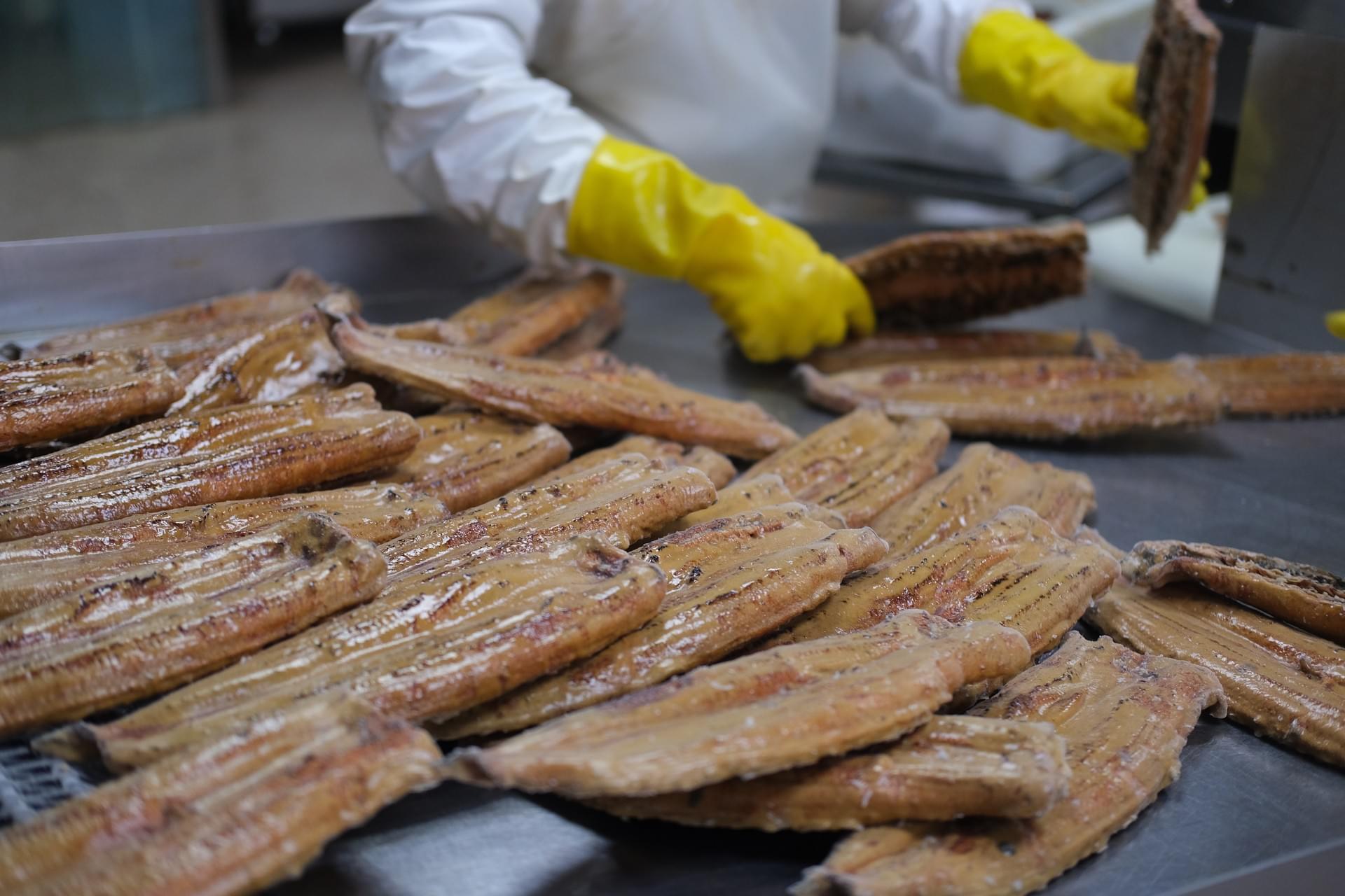 Halal Frozen Roasted Eel Unagi Kabayaki Supplier China