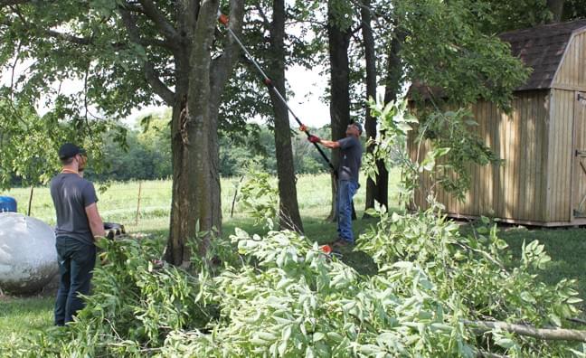 Tree Technicians- Our focus everyday is providing quality tree service ...