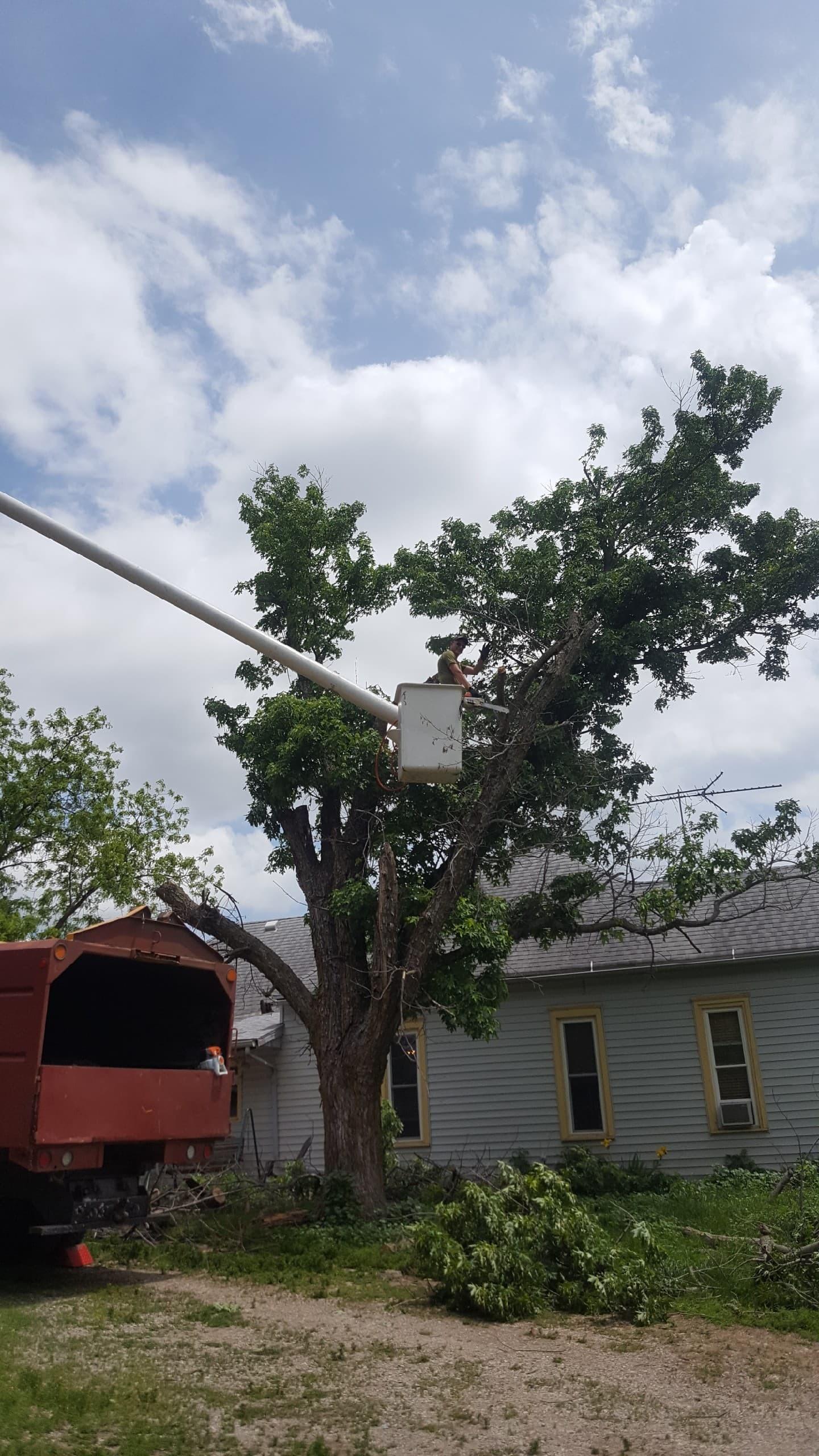 Tree Technicians- Our focus everyday is providing quality tree service ...