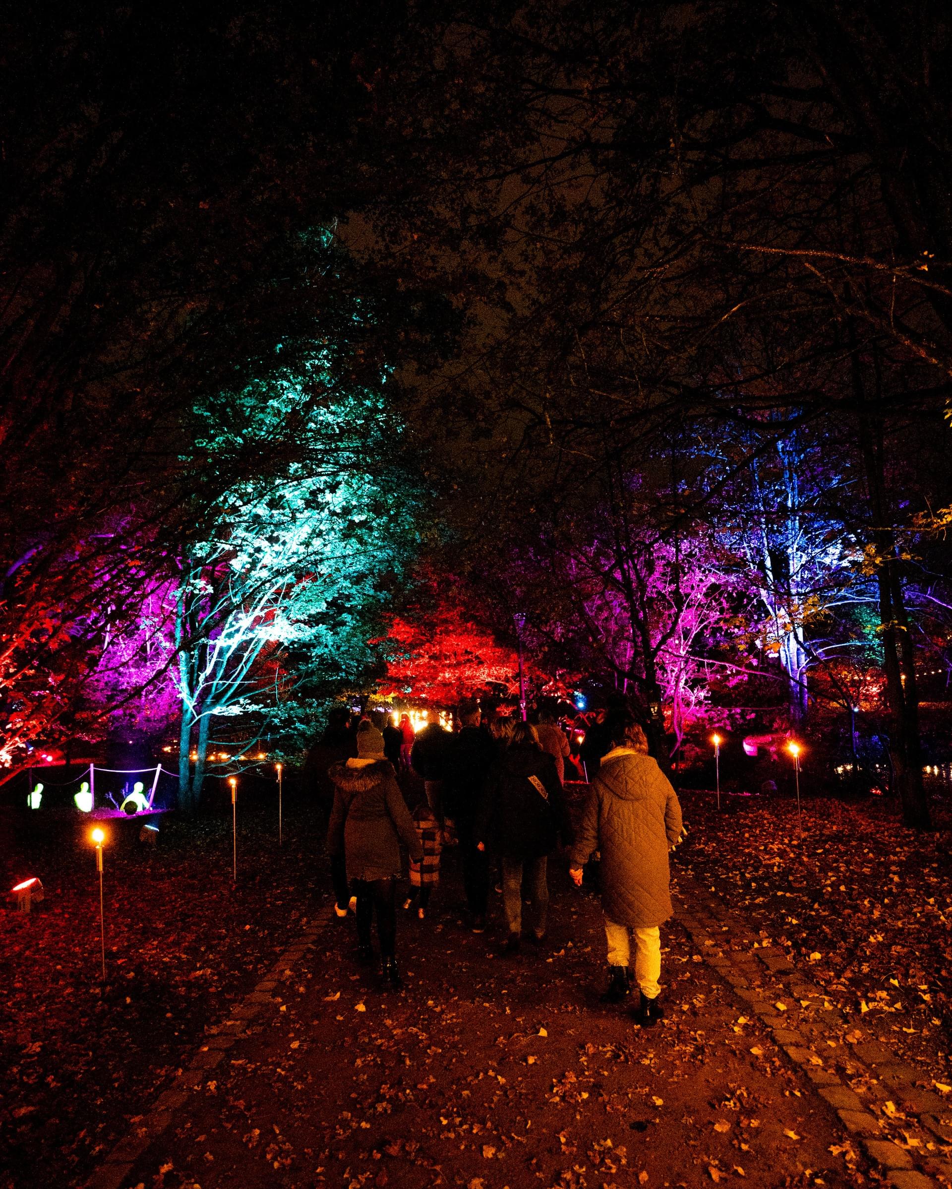 Luminate Lichtfestival