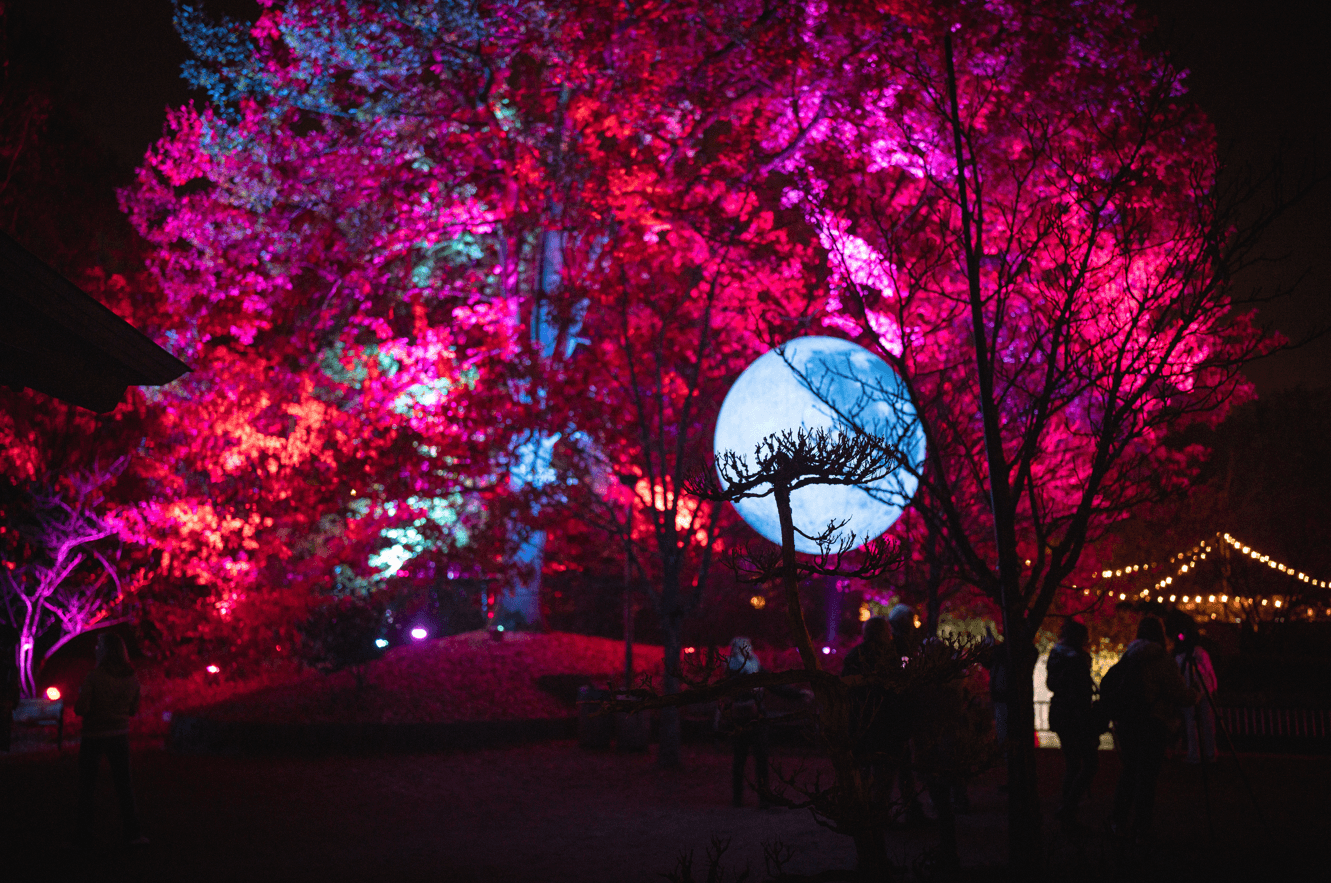 Luminate Lichtfestival