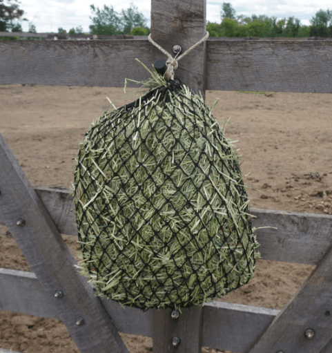 Rescue - Daisy Acre Ranch