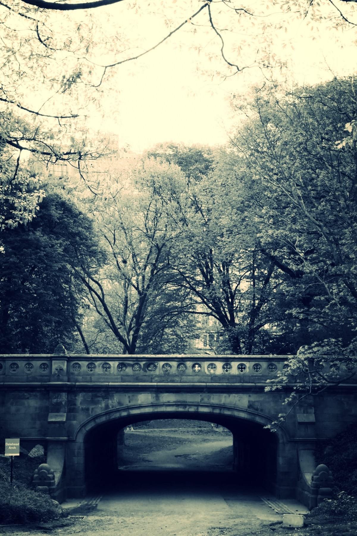 Jacinta Jones Photography