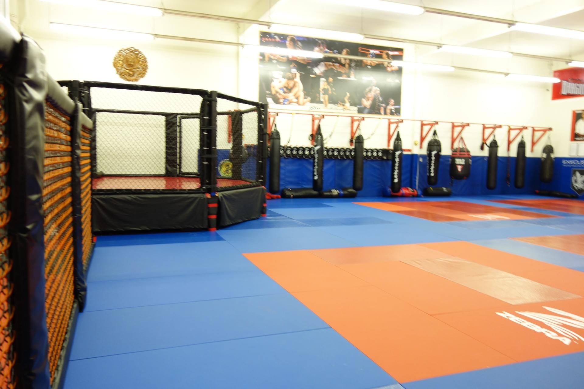 Dragon House MMA