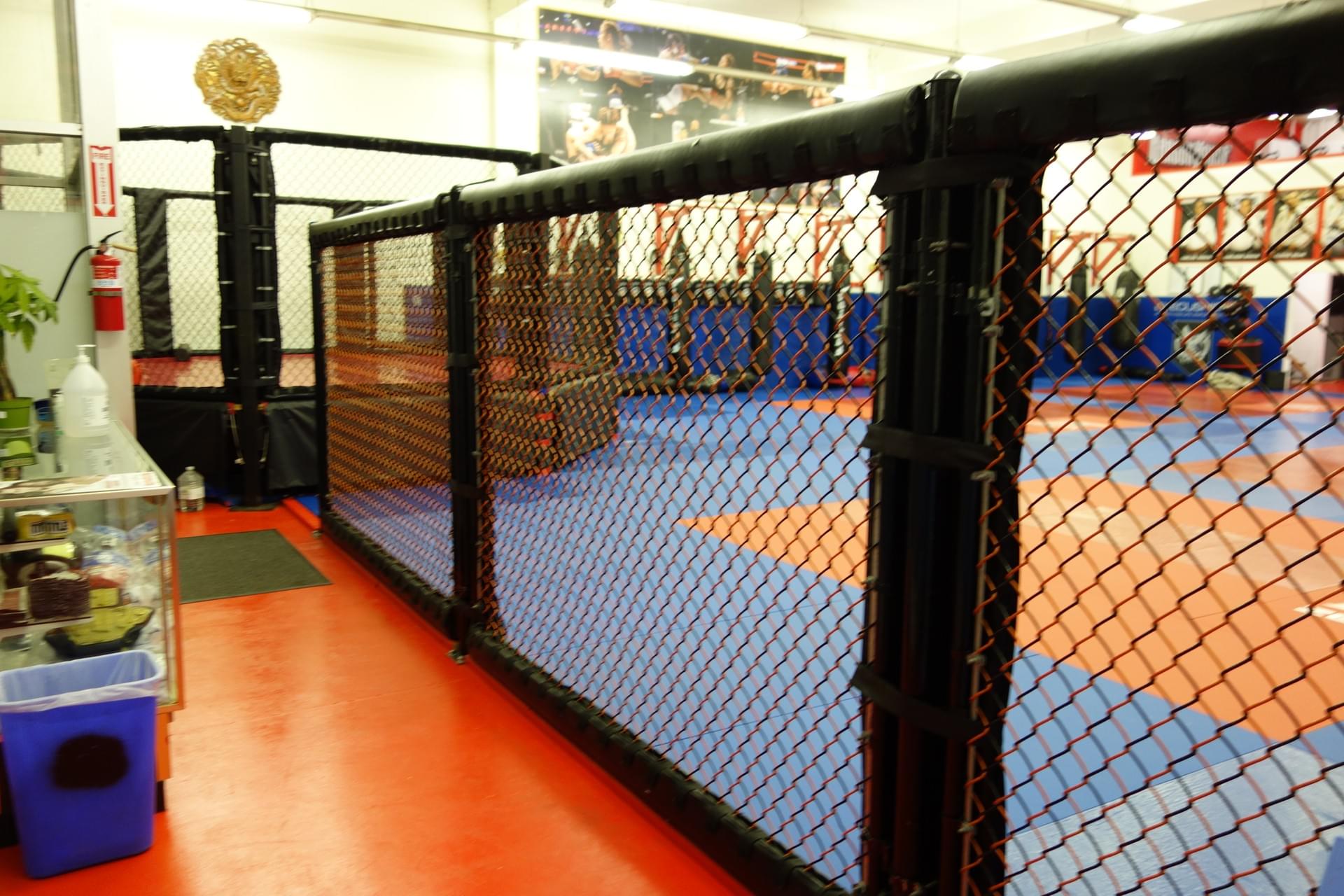 Dragon House MMA