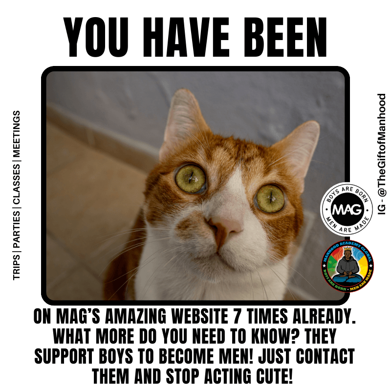 Official Website - Manhood Academy Global