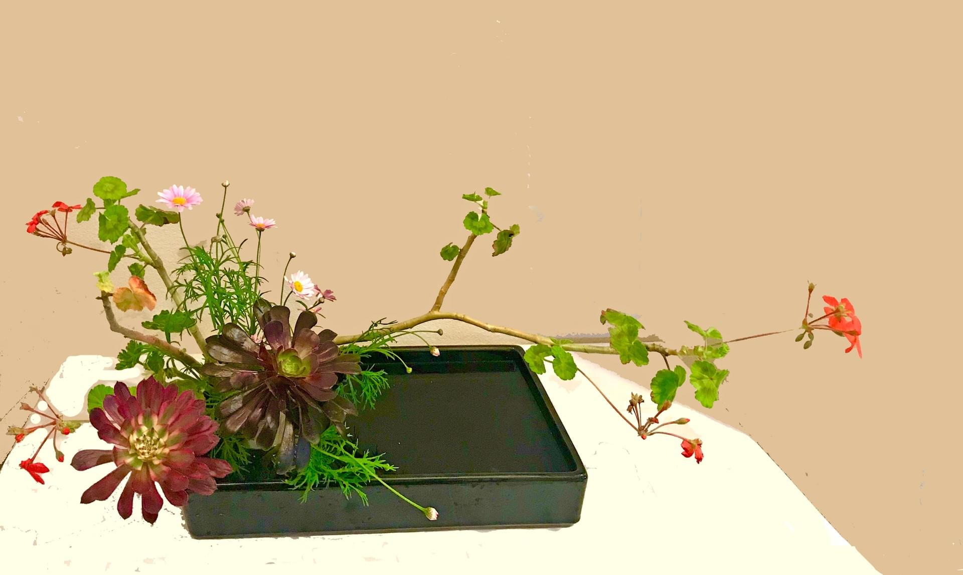 Moribana - Ikebana & SDSCOS