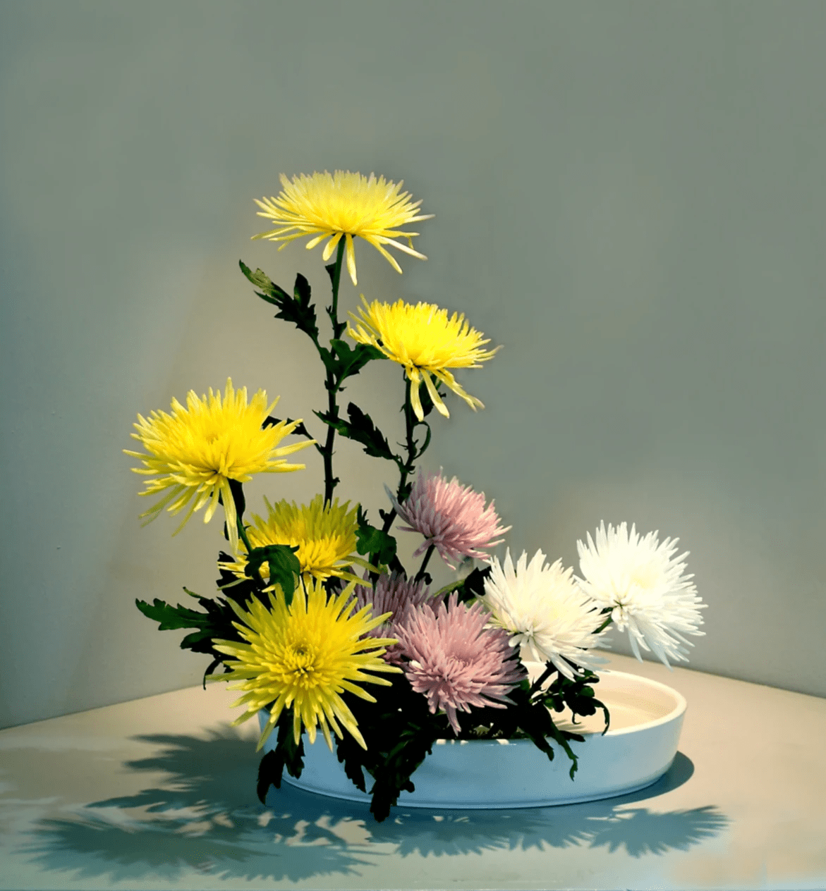 Moribana - Ikebana & SDSCOS