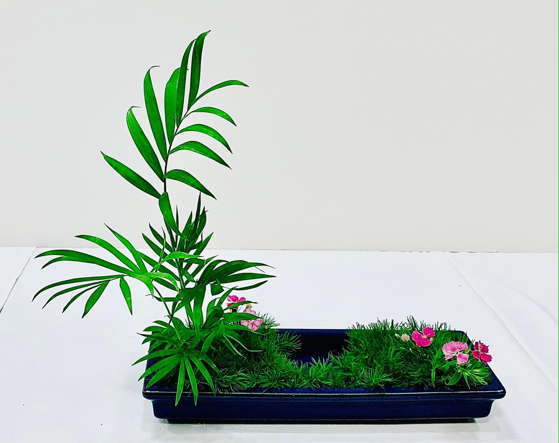 Moribana - Ikebana & SDSCOS