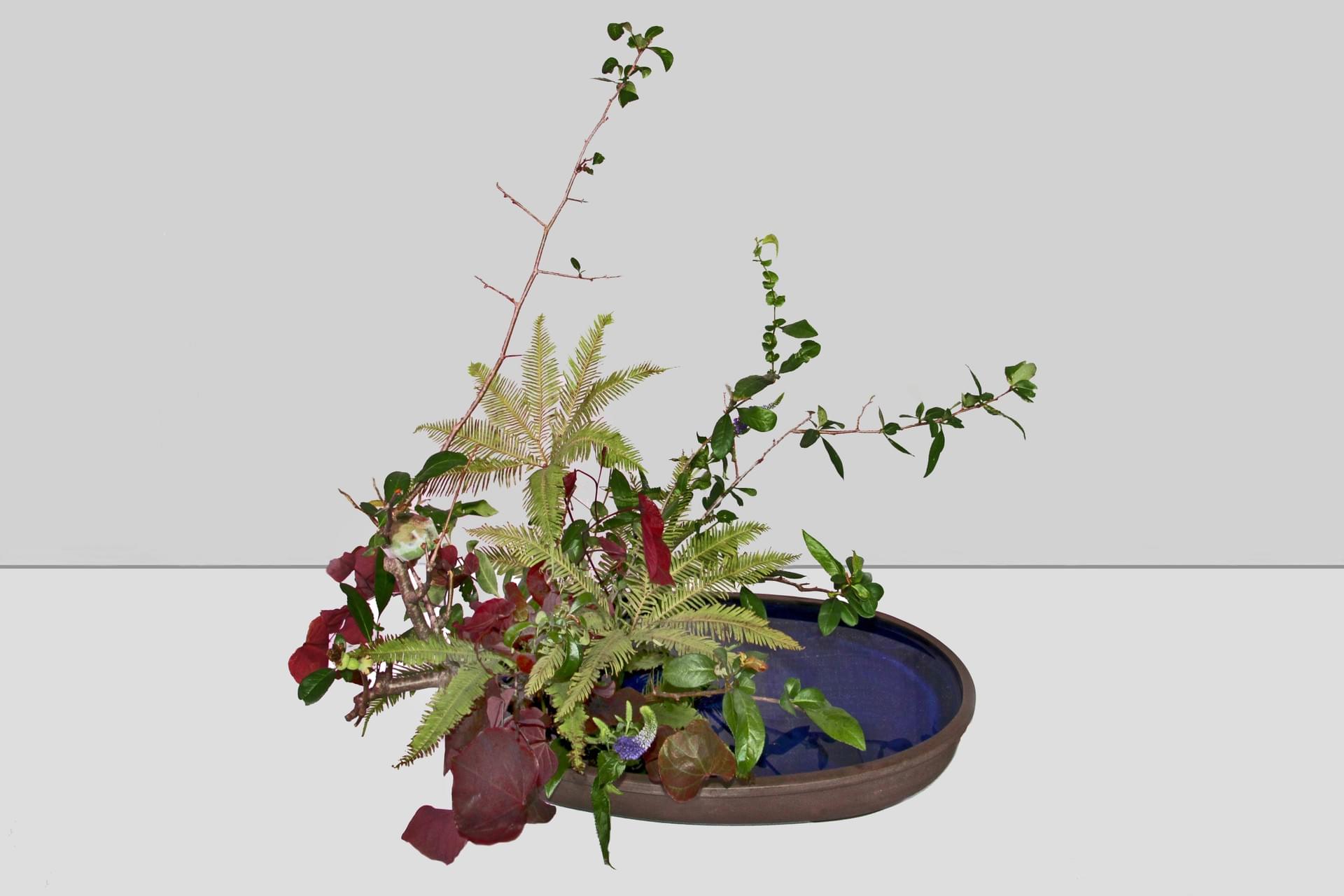 Moribana - Ikebana & SDSCOS