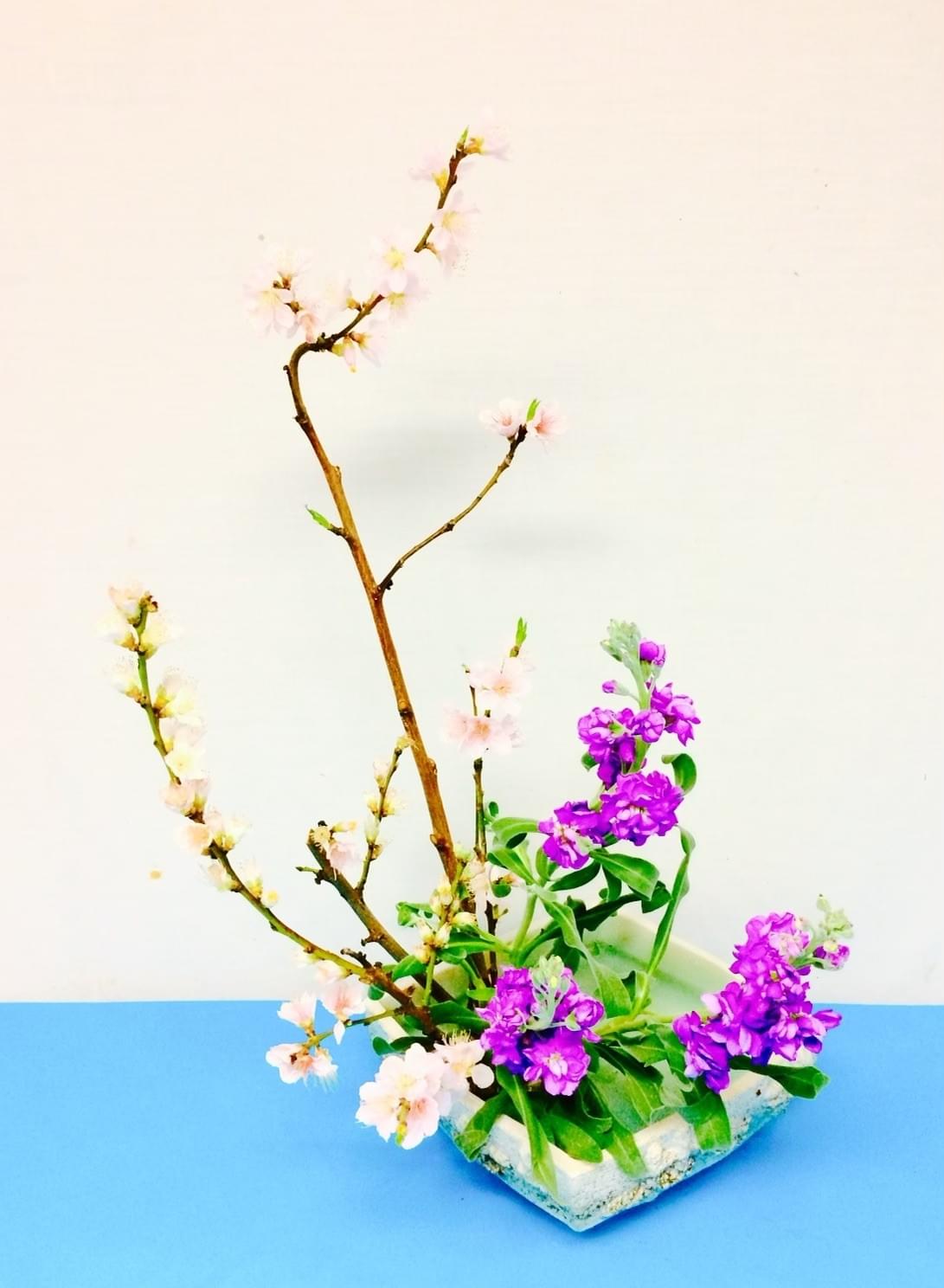 Moribana - Ikebana & SDSCOS