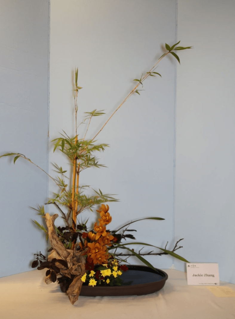 Moribana - Ikebana & SDSCOS