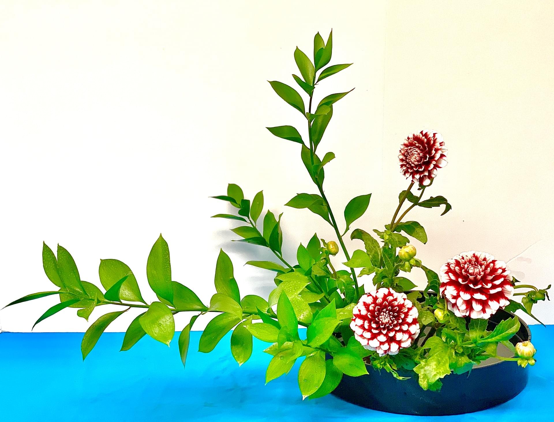 Moribana - Ikebana & SDSCOS