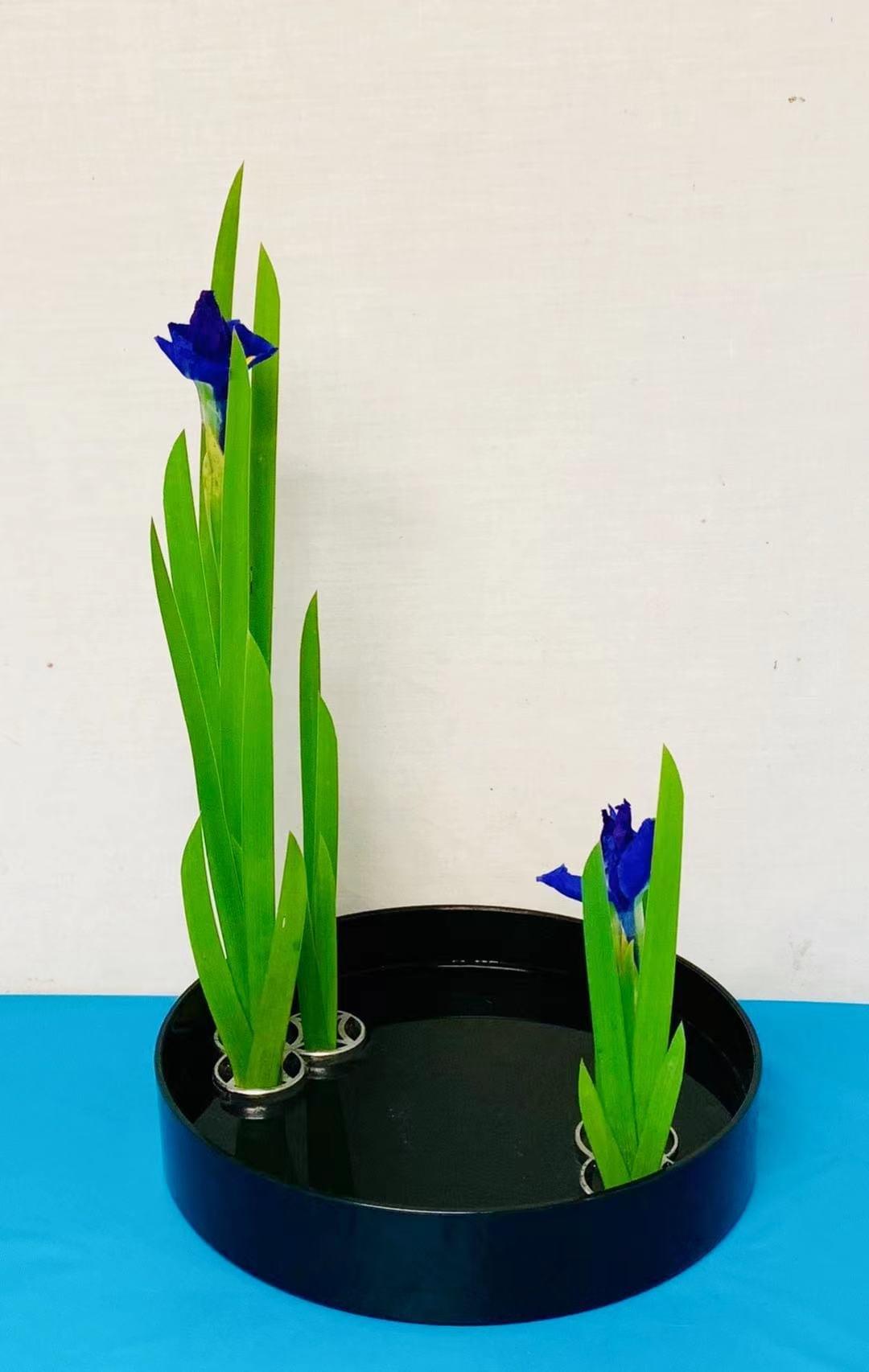 Moribana - Ikebana & SDSCOS