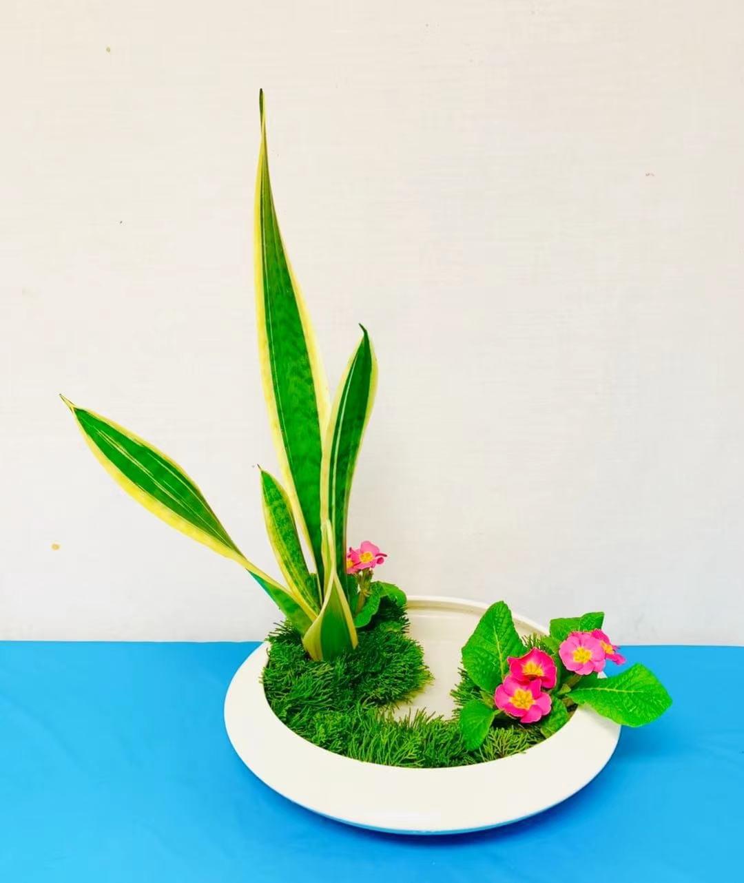 Moribana - Ikebana & SDSCOS