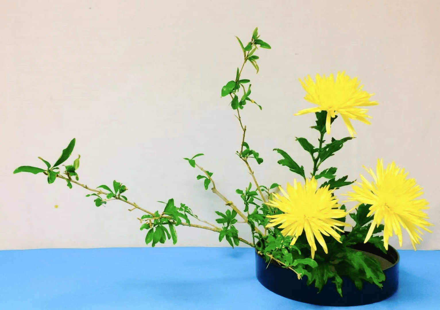 Moribana - Ikebana & SDSCOS
