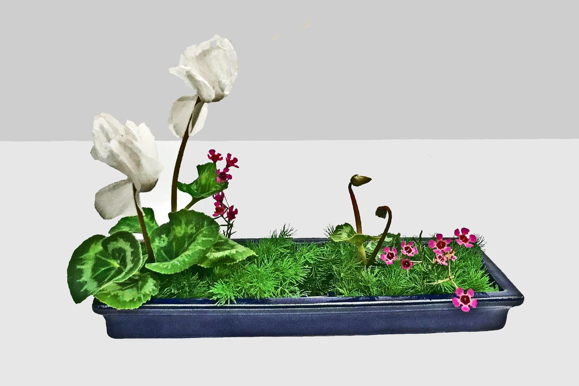 Moribana - Ikebana & SDSCOS