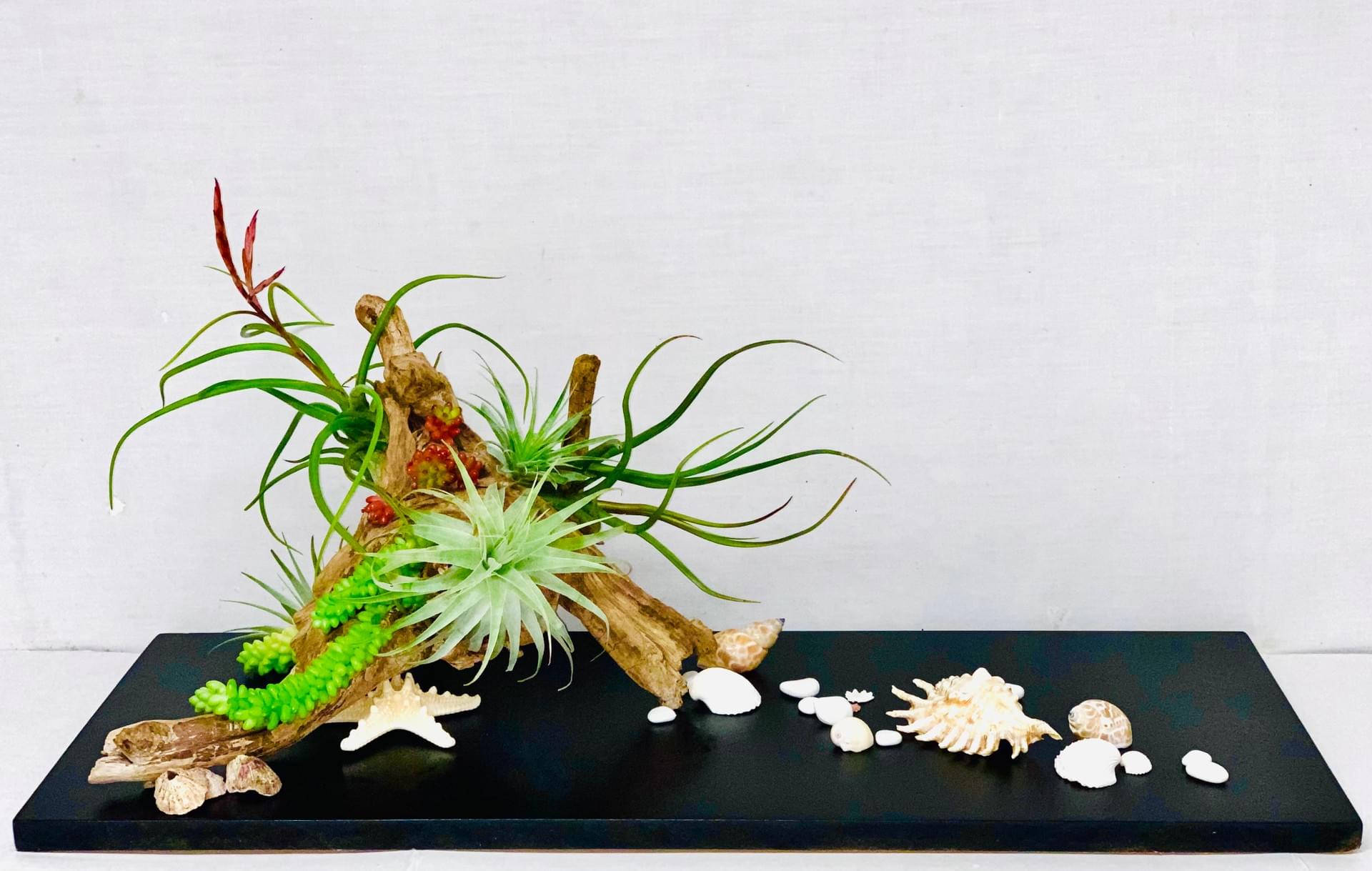 Moribana - Ikebana & SDSCOS