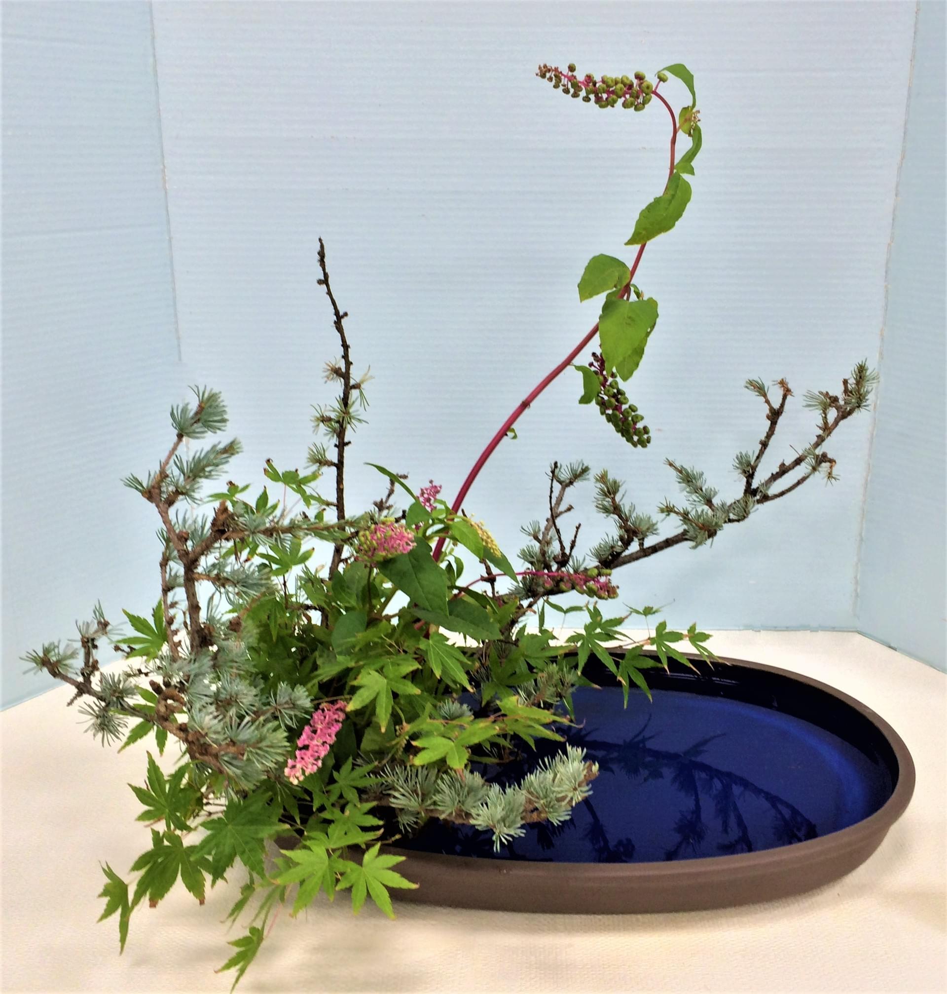 Moribana - Ikebana & SDSCOS