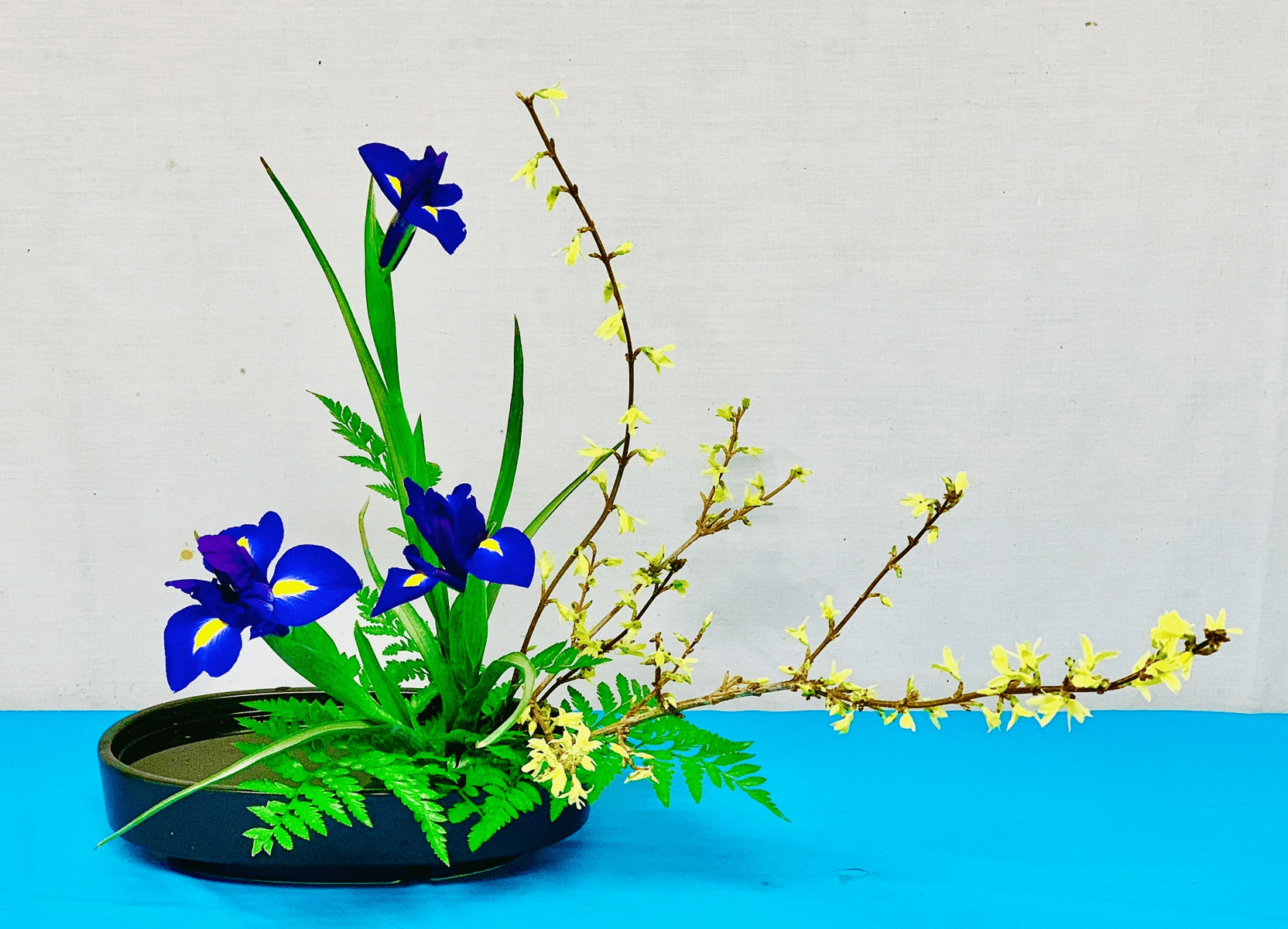 Moribana - Ikebana & SDSCOS
