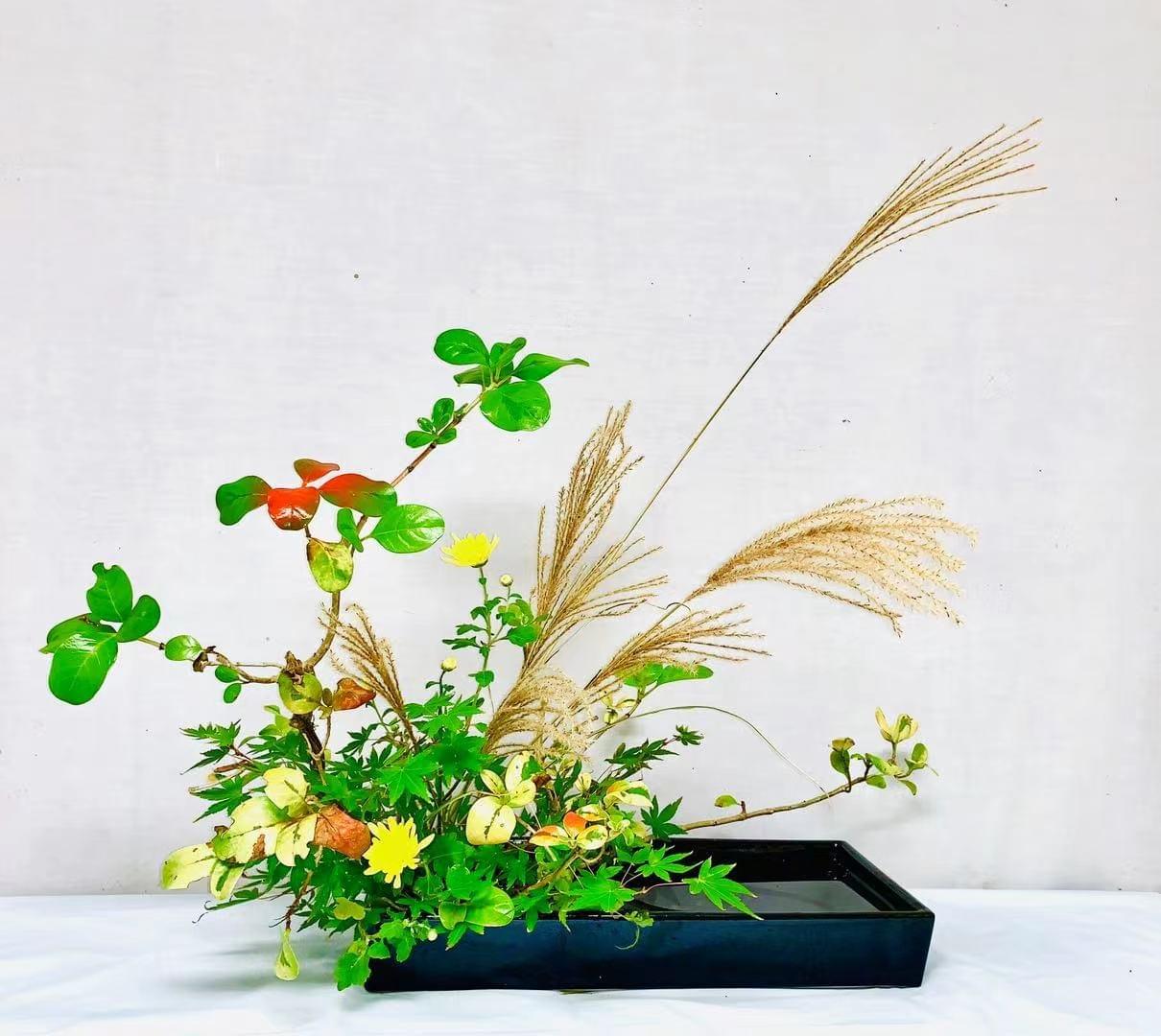 Moribana - Ikebana & SDSCOS