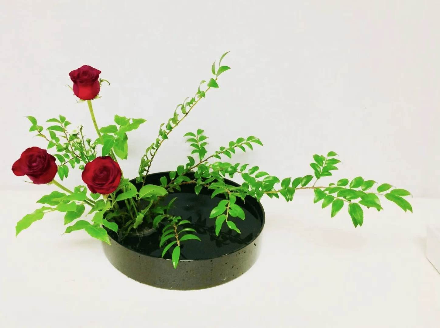 Moribana - Ikebana & SDSCOS