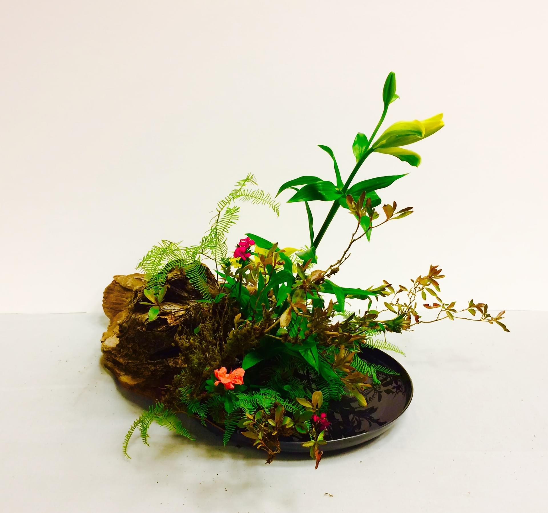 Moribana - Ikebana & SDSCOS