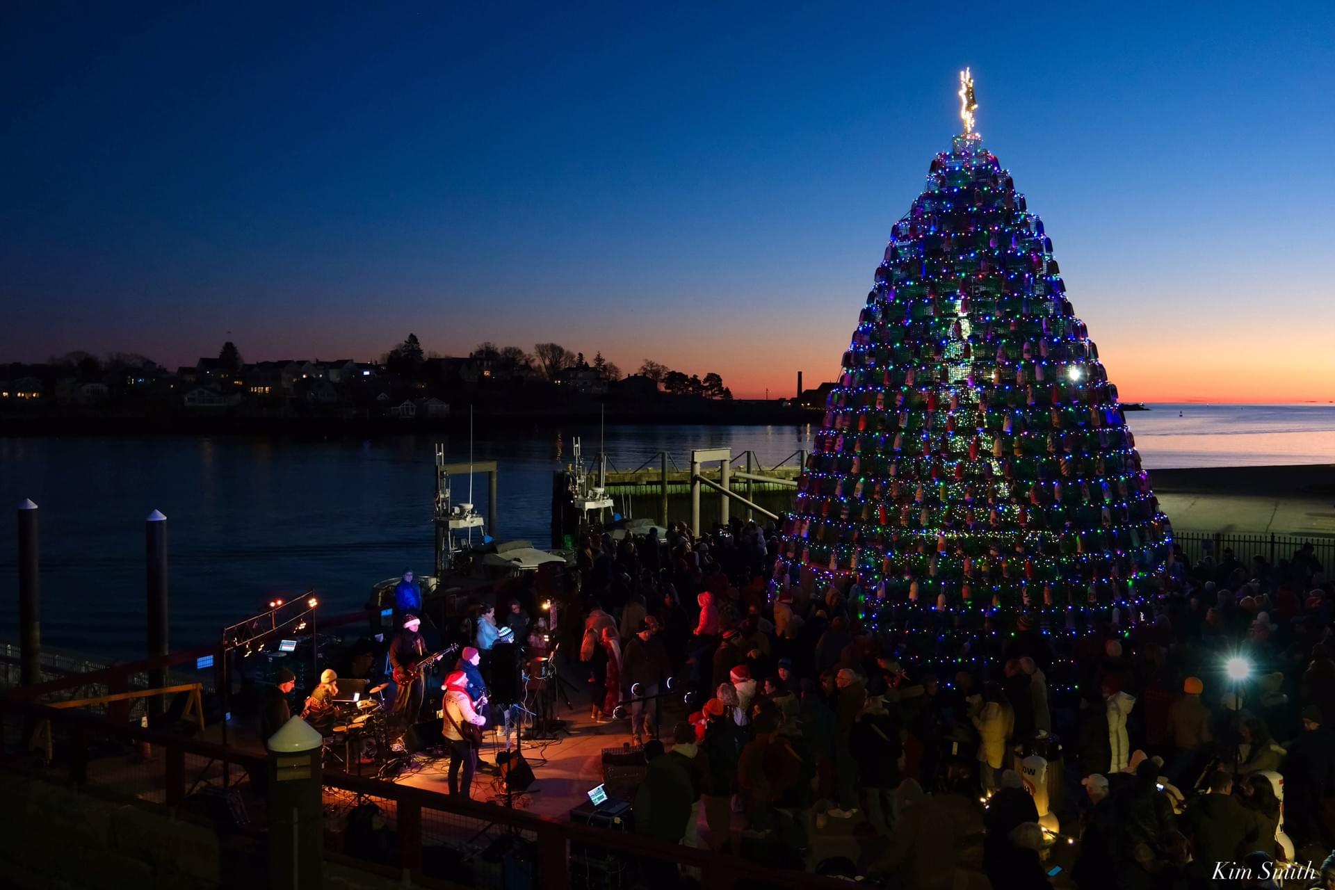 Lobster Trap Tree Gloucester Ma