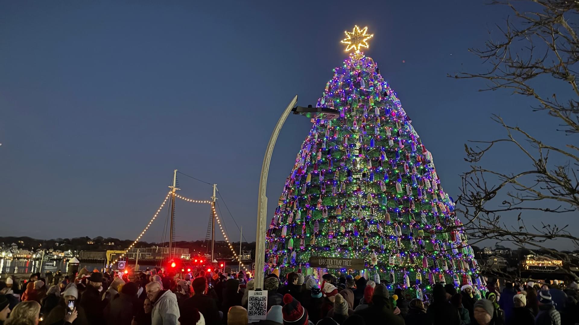 Lobster Trap Tree Gloucester Ma