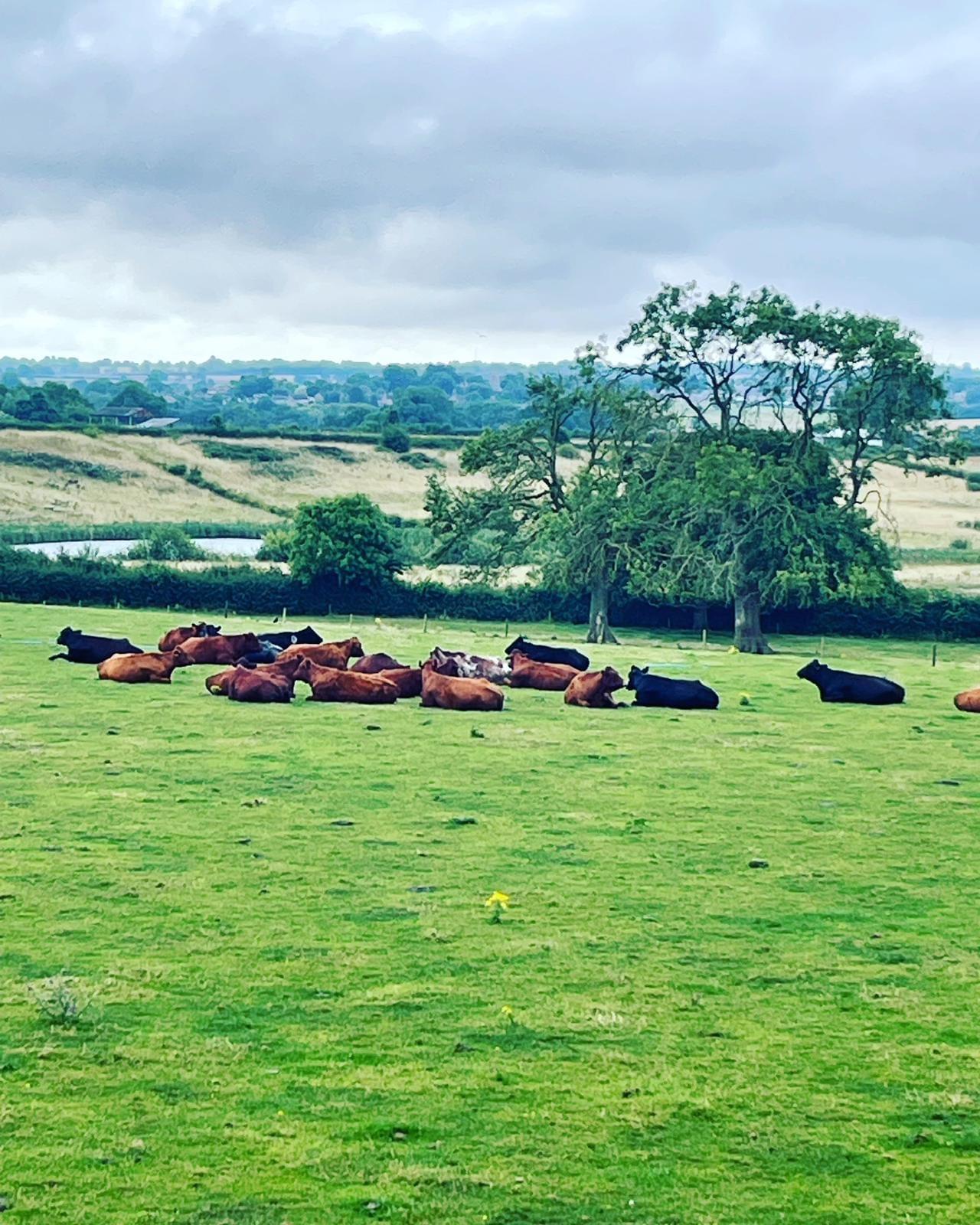 Our Farmstay - Cote Hill Farm - Shepherds huts and Campsite situated on ...
