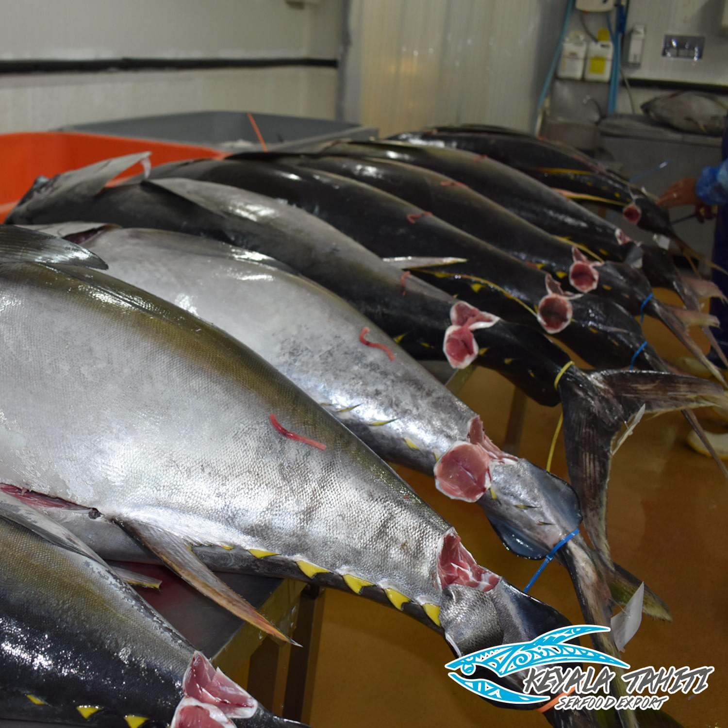 Keyala Tahiti Seafood