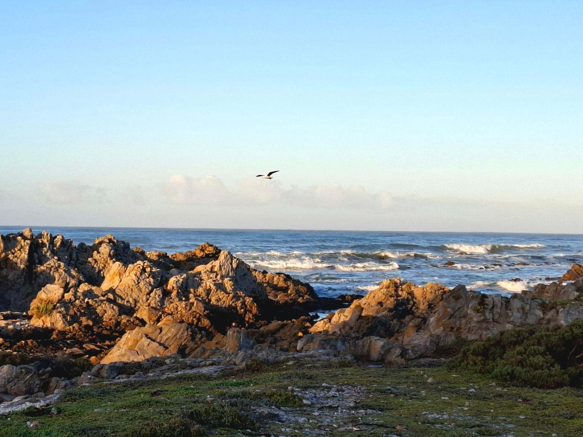 Photo Gallery - FRANSKRAAL ACCOMMODATION