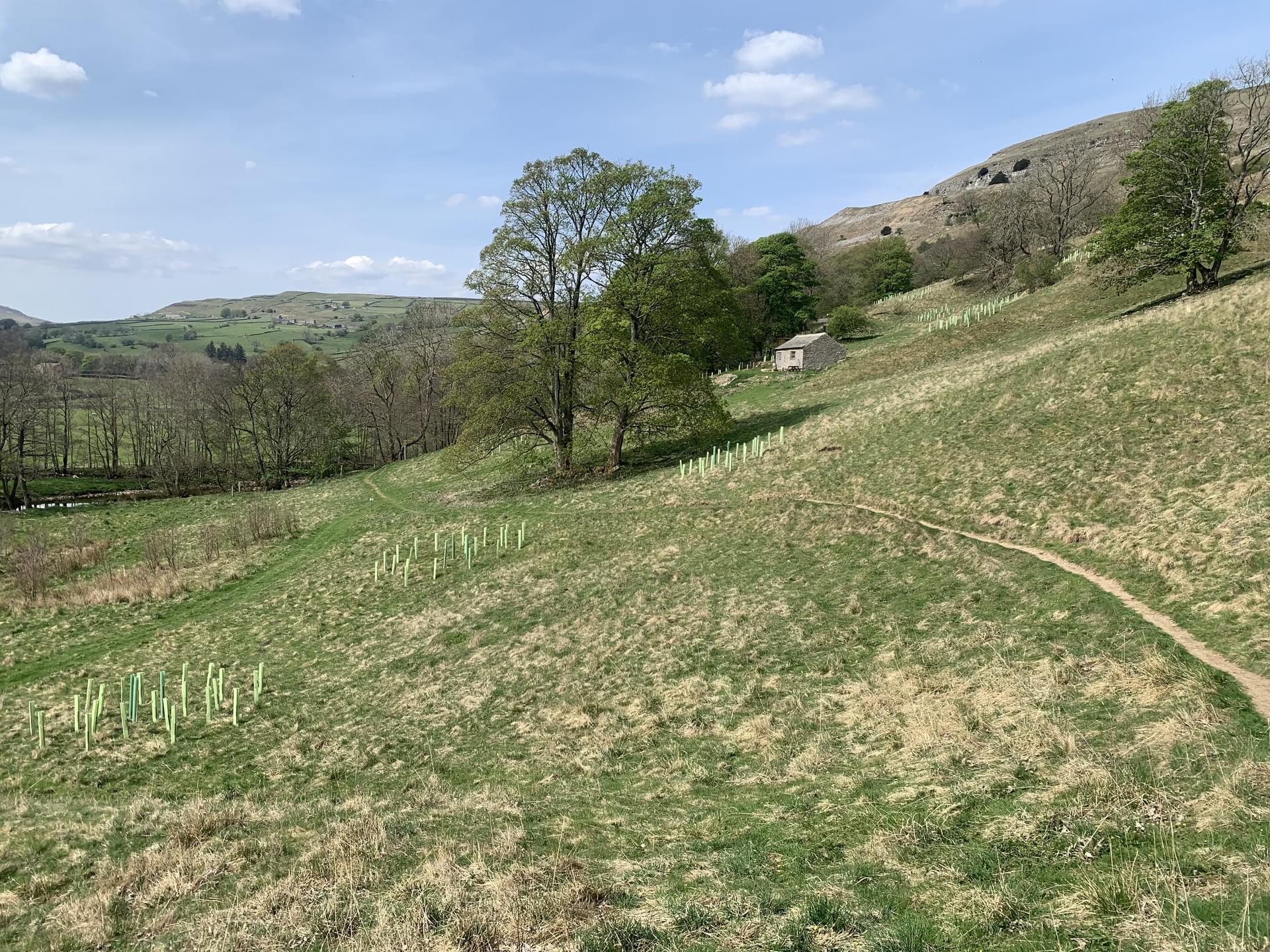 Heggs Farm Off-Grid Wild Camping Site & Rewilding Project, Reeth ...