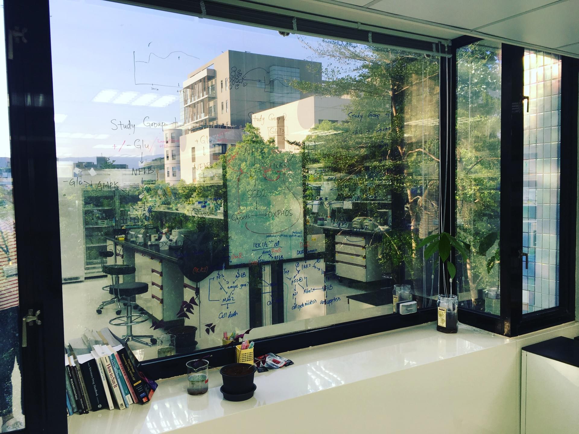 Lab for Cell Dynamics on Strikingly