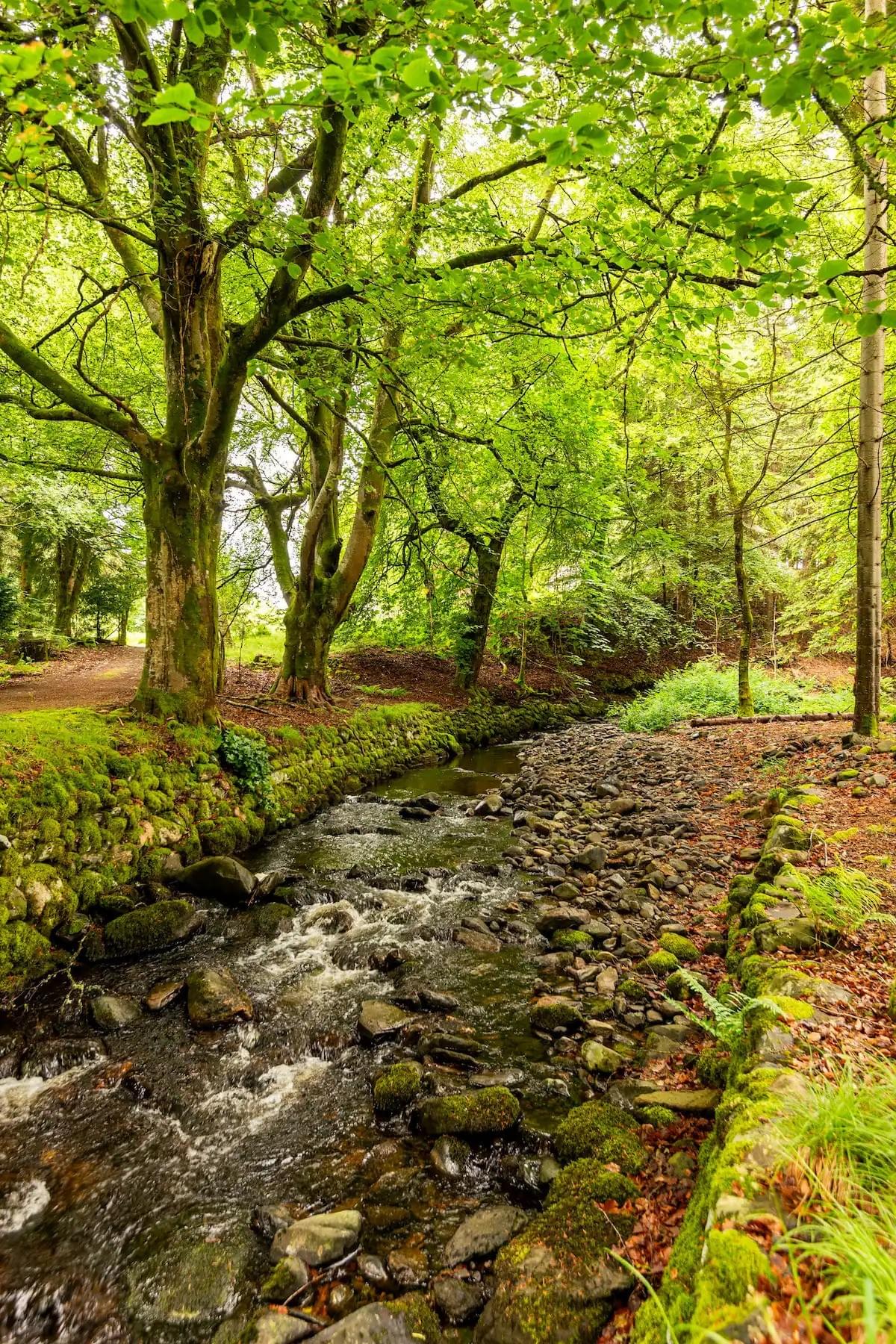details & fees - Retreat for Creative Filmmakers