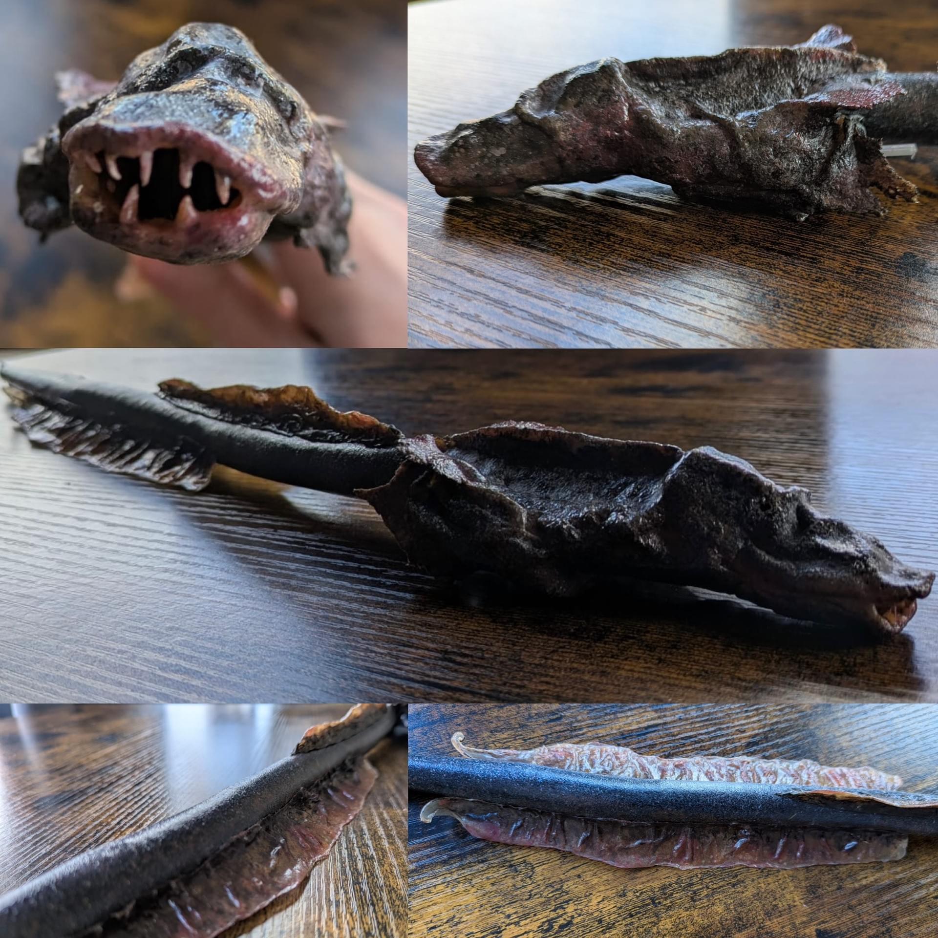 Costume & Prop Maker - Dorian T. Fisk