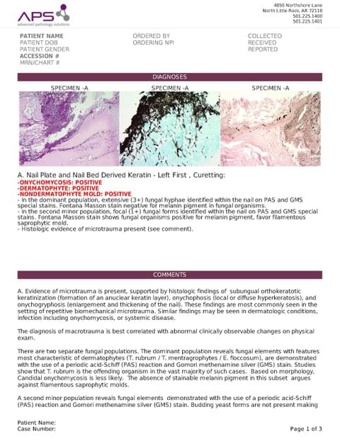 Services - APS - Advanced Pathology Solutions