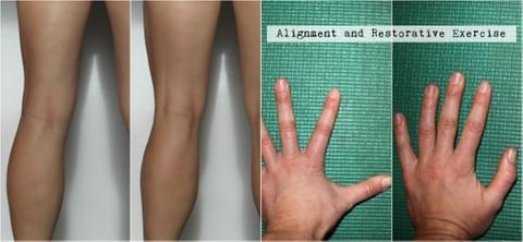 Callie Rose Ritter Movement