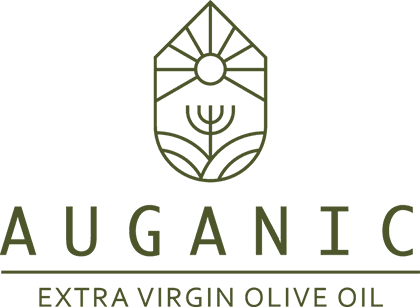 JAPANDA INTERNATIONAL OPEN on Strikingly