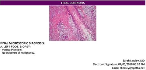 Services - APS - Advanced Pathology Solutions