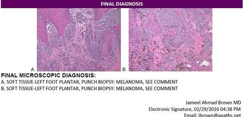 Services - APS - Advanced Pathology Solutions