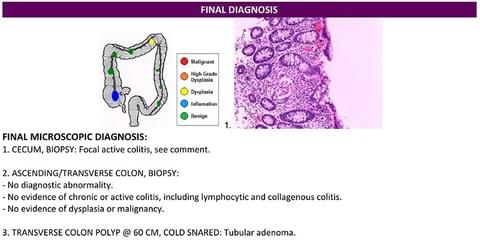 Services - APS - Advanced Pathology Solutions