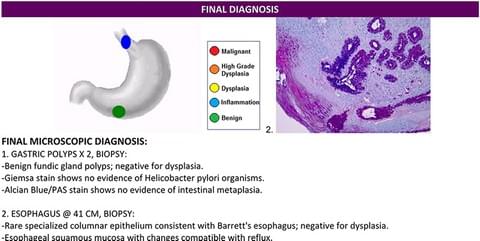 Services - APS - Advanced Pathology Solutions