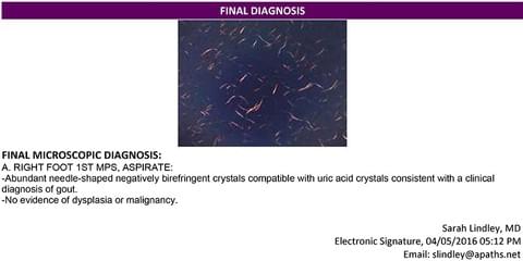 Services - APS - Advanced Pathology Solutions